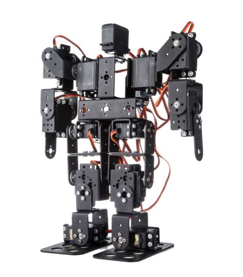 13 Axis Humanoid Robot - Humanoid Robot Motorobit - Motorobit.com