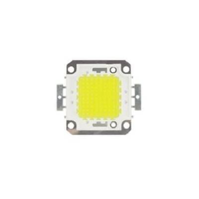 Blue 12V Floodlight Cob Led 20W Power Led Motorobit - Motorobit.com
