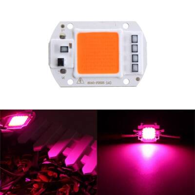 Full Spectrum 220V Cob Led 50W Grow Light Motorobit - Motorobit.com